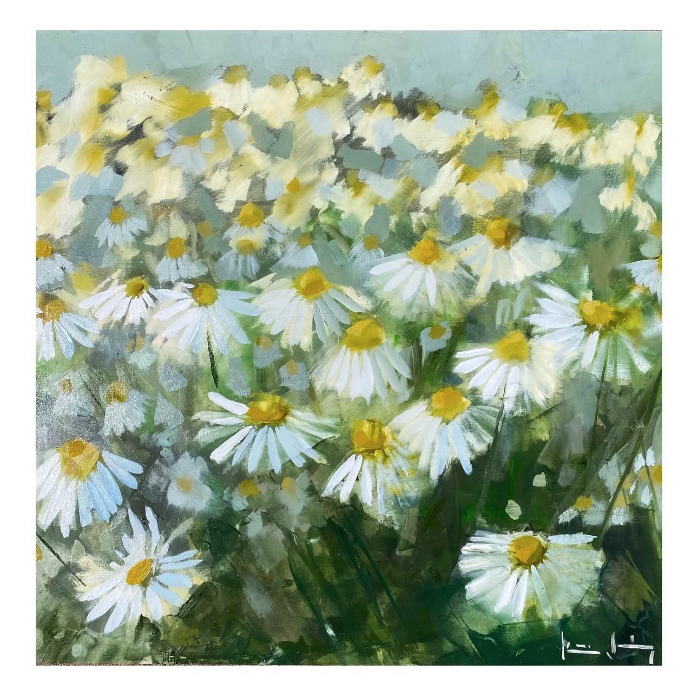 Daisy Dream – Katie Jacobson